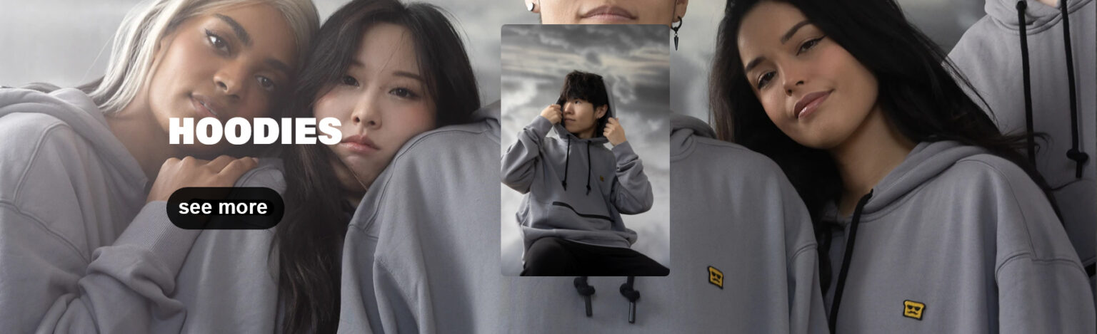 Disguised Toast Merch - Official Disguised Toast